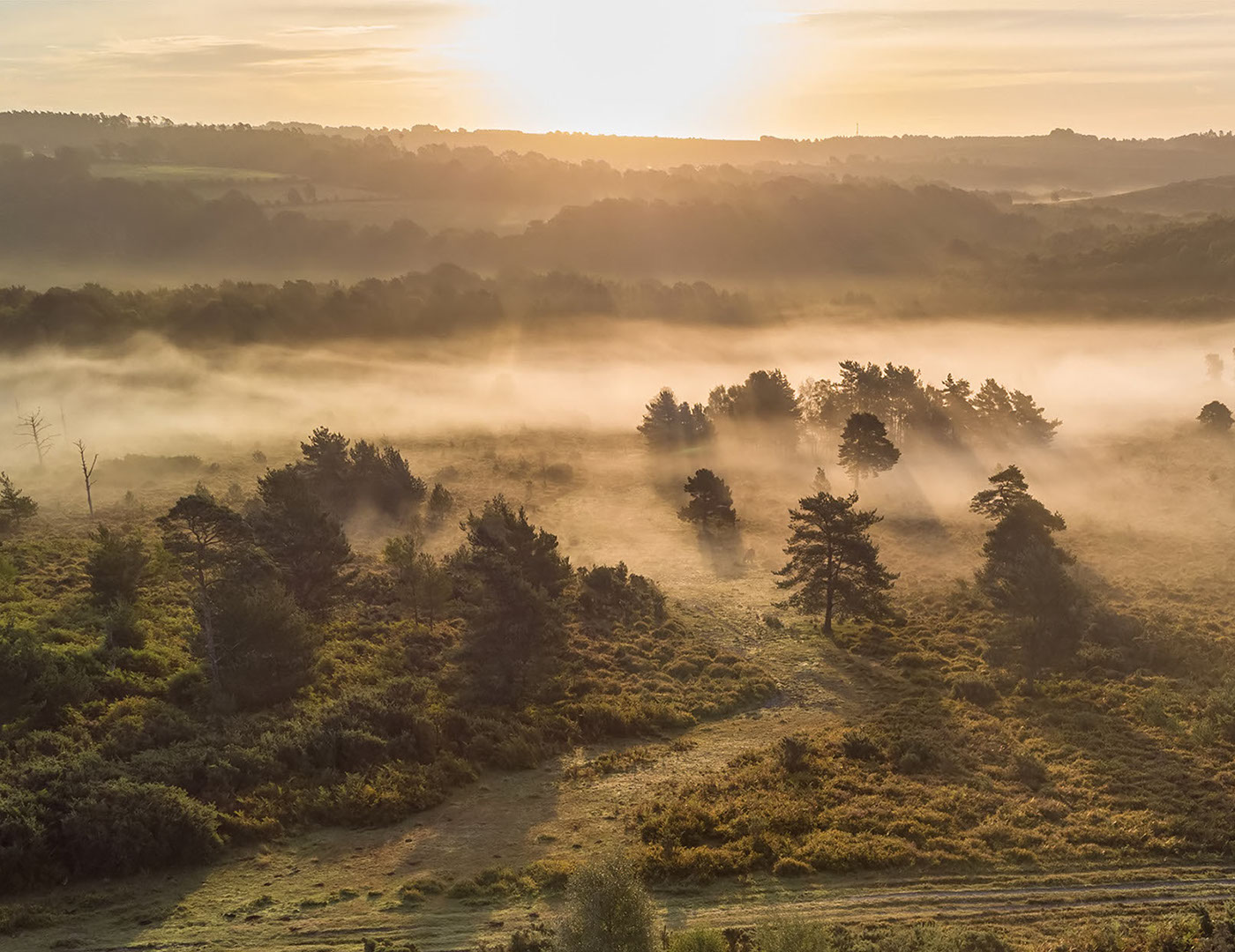 Pooh Trek tours of Ashdown Forest home of Winnie-the-Pooh